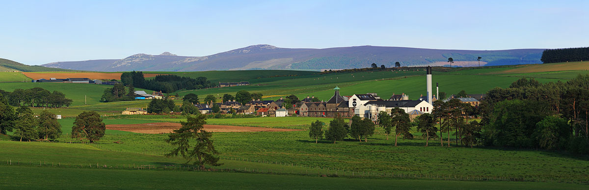Ardmore Distillery | Scotch Whisky Experience